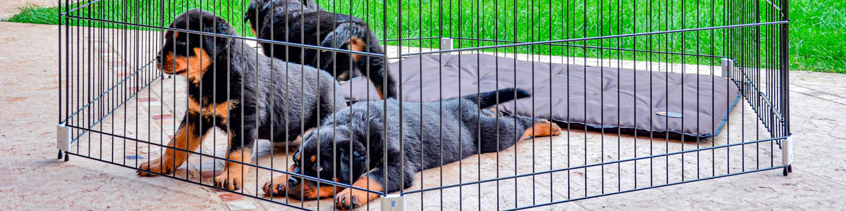 DOG PENS | Ferplast U.K. - Metal