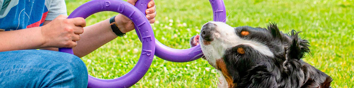 New products | Ferplast U.K.