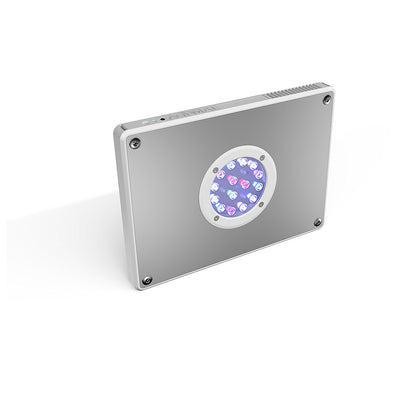 New products | Ferplast U.K.