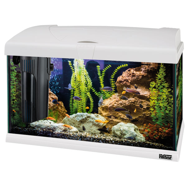 40 litre fish tank store